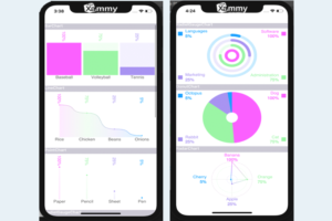 Getting started with charts in Xamarin Forms – AskXammy