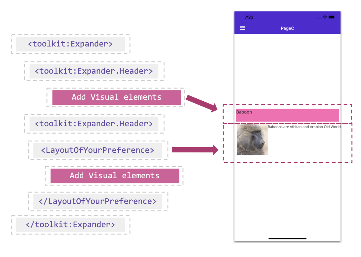 Exploring the expander from .NET MAUI Community Toolkit – AskXammy